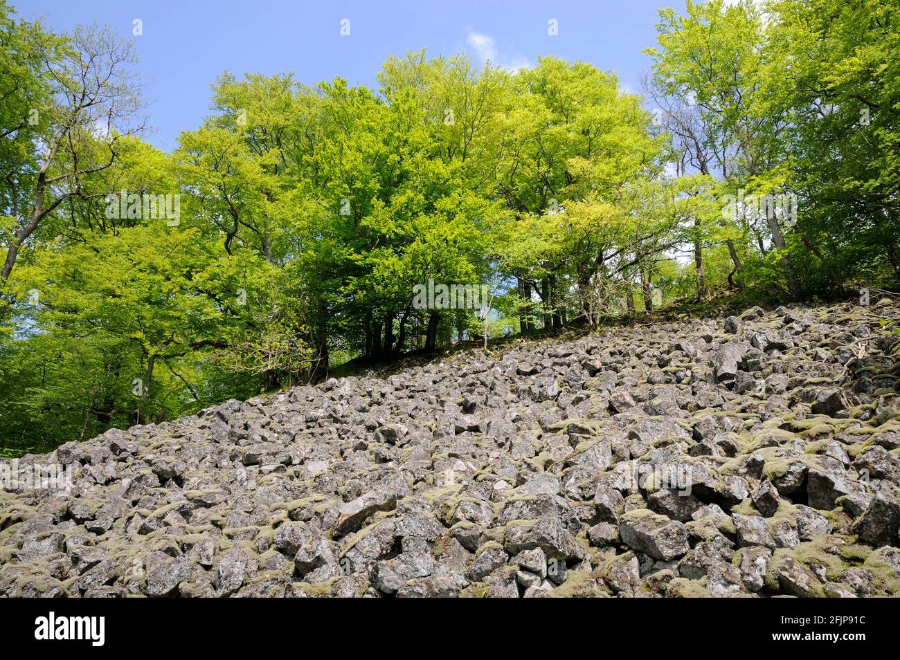 Basalt, basalt prismatic wall, Rhoen Biosphere Reserve, Bavaria ...