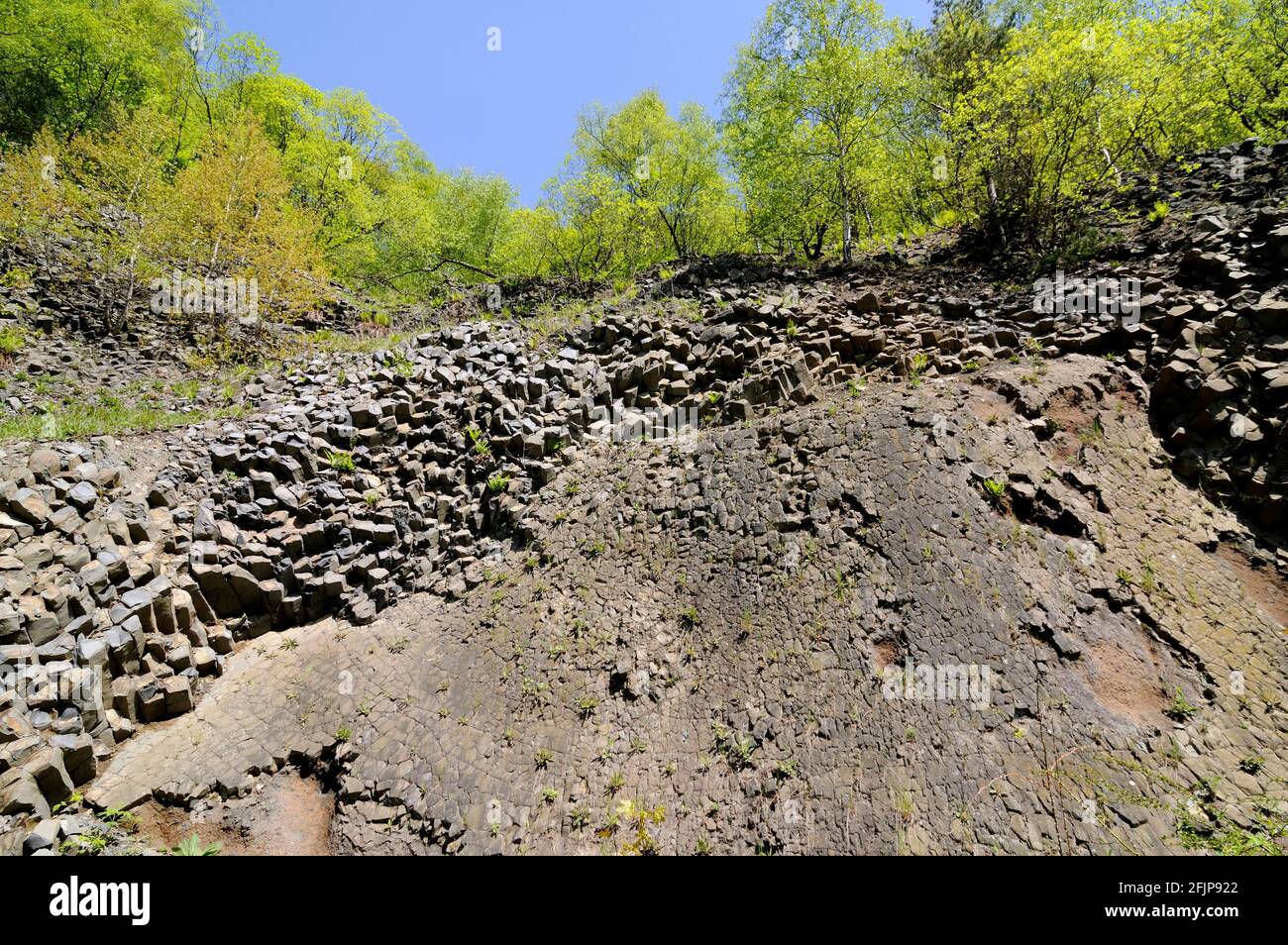 Basalt, basalt prismatic wall, Rhoen Biosphere Reserve, Bavaria ...
