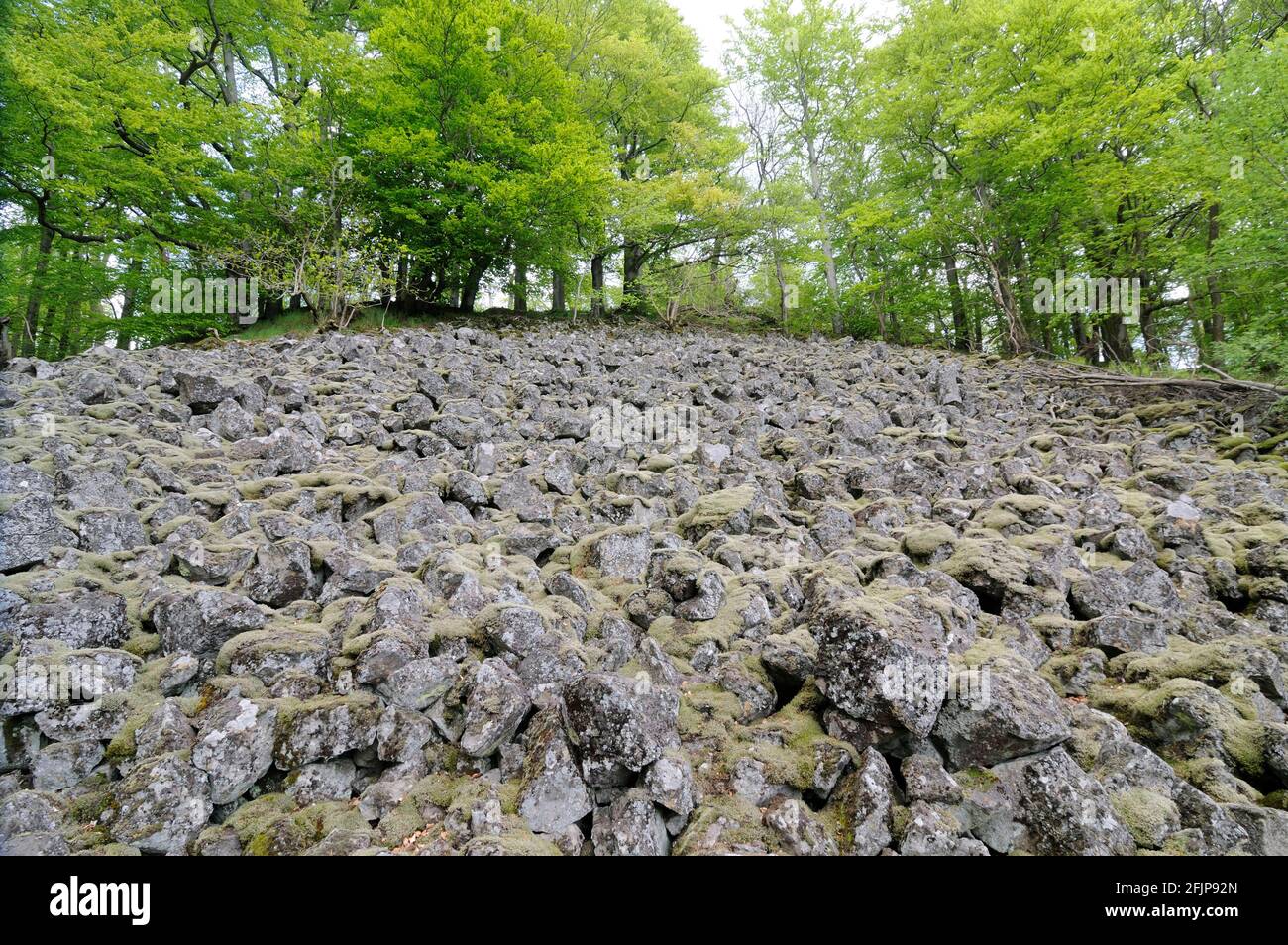 Basalt, basalt prismatic wall, Rhoen Biosphere Reserve, Bavaria ...