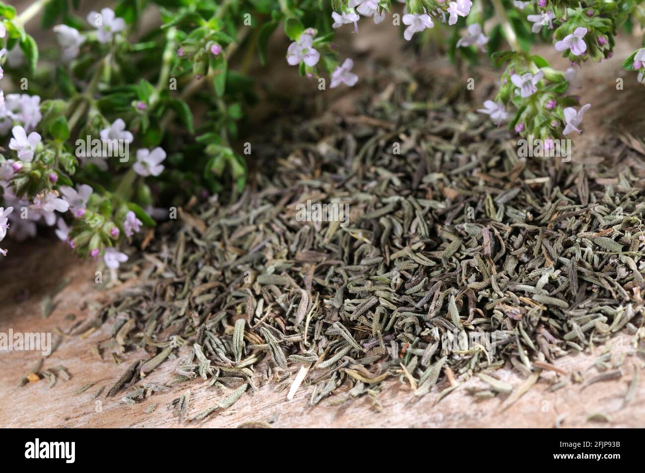 Broad leaved thyme hi-res stock photography and images - Alamy