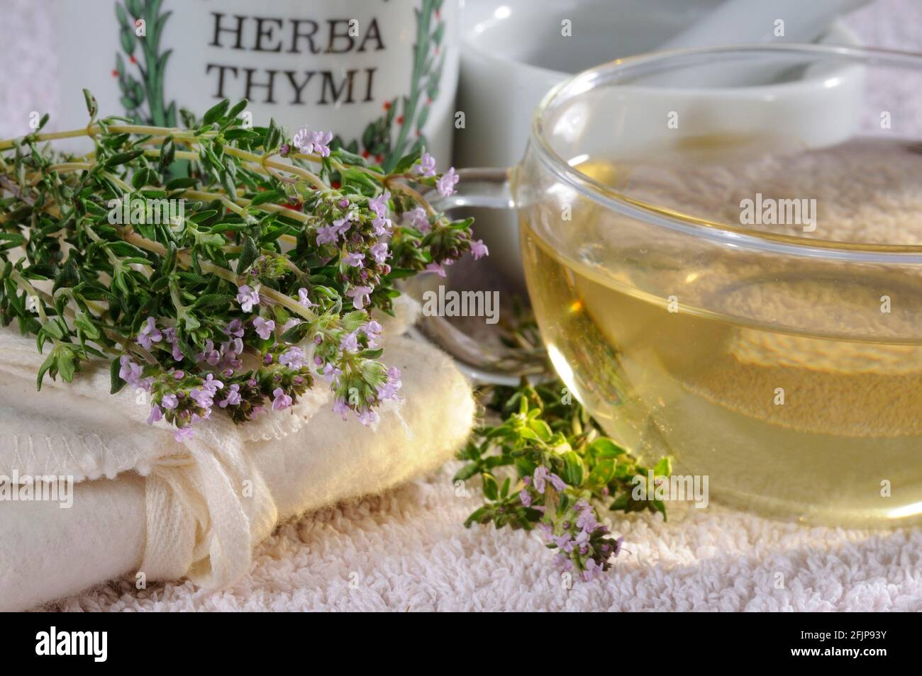 Cup of thyme tea, Common thyme (Thymus pulegioides Stock Photo - Alamy