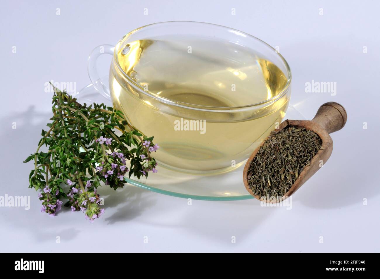 Cup of thyme tea, Common thyme (Thymus pulegioides Stock Photo - Alamy
