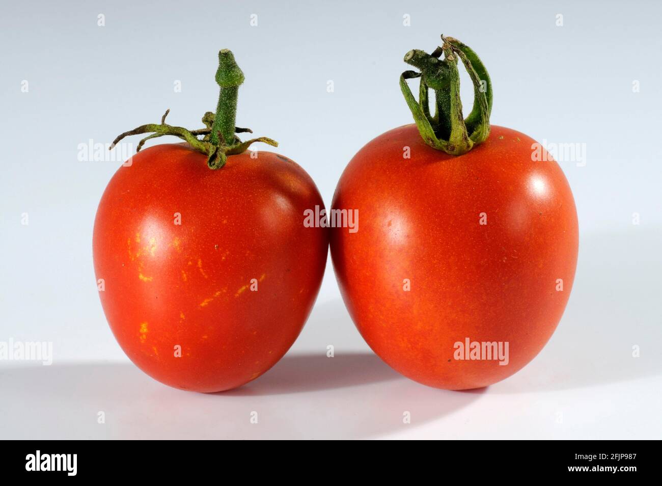 Studio photography red peach hi-res stock photography and images - Alamy