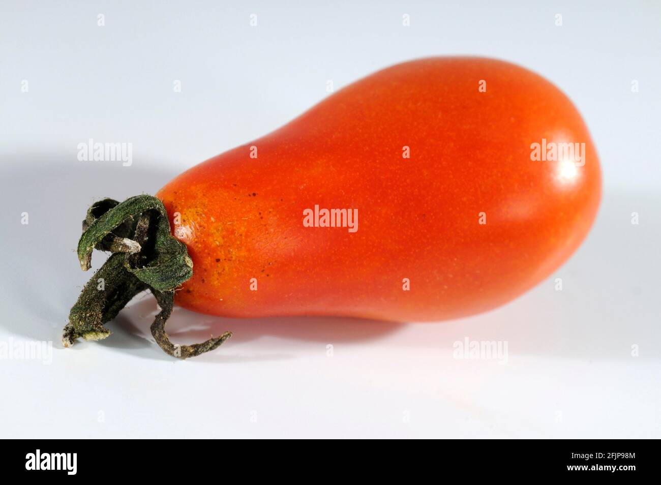 Tomato (Solanum lycopersicum) Fruit Stock Photo - Alamy