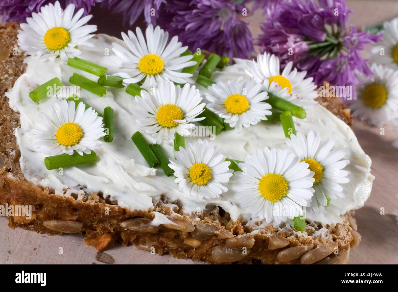 Slice of bread with daisy blossoms (Bellis perennis Stock Photo - Alamy