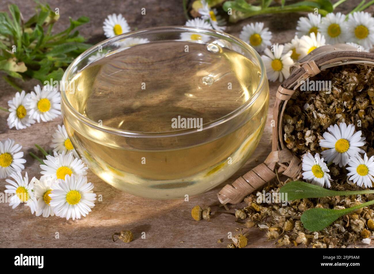 Cup of daisy tea (Bellis perennis), daisy tea Stock Photo - Alamy