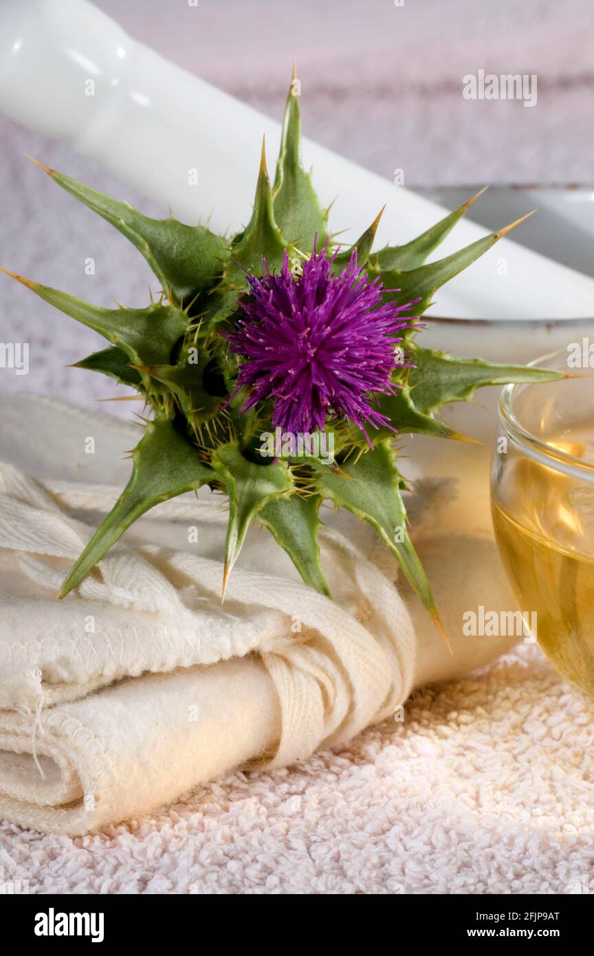 Milk thistle tea hi-res stock photography and images - Alamy