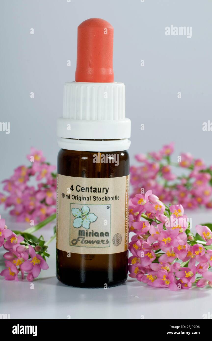 Centaury bach flower remedy hi-res stock photography and images - Alamy