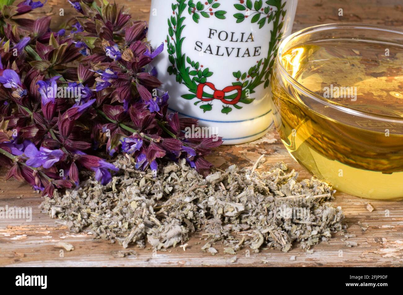 Real Common sage (Salvia officinalis), cup of Common sage tea, garden ...