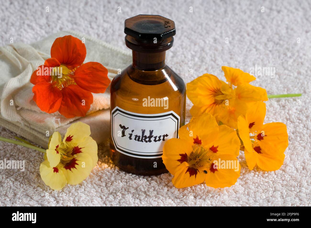 Nasturtium (Tropaeolum majus), nasturtium tincture (tincture Stock ...
