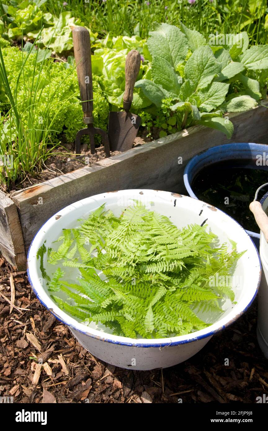 Liquid manure hi-res stock photography and images - Alamy