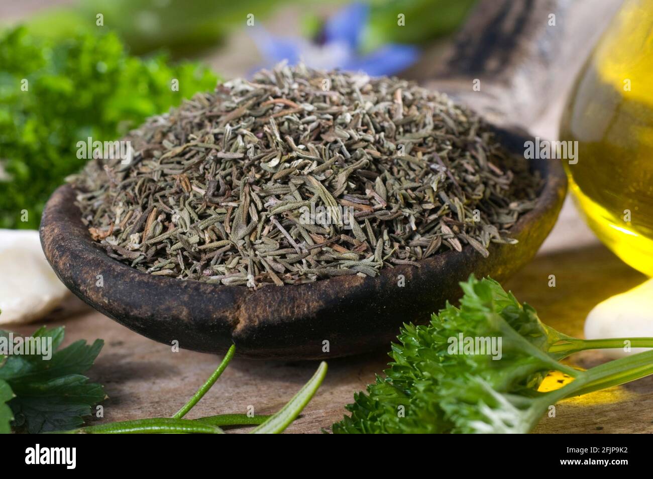Broad-leaved thyme (Thymus pulegioides), dried, field thyme, cottage ...