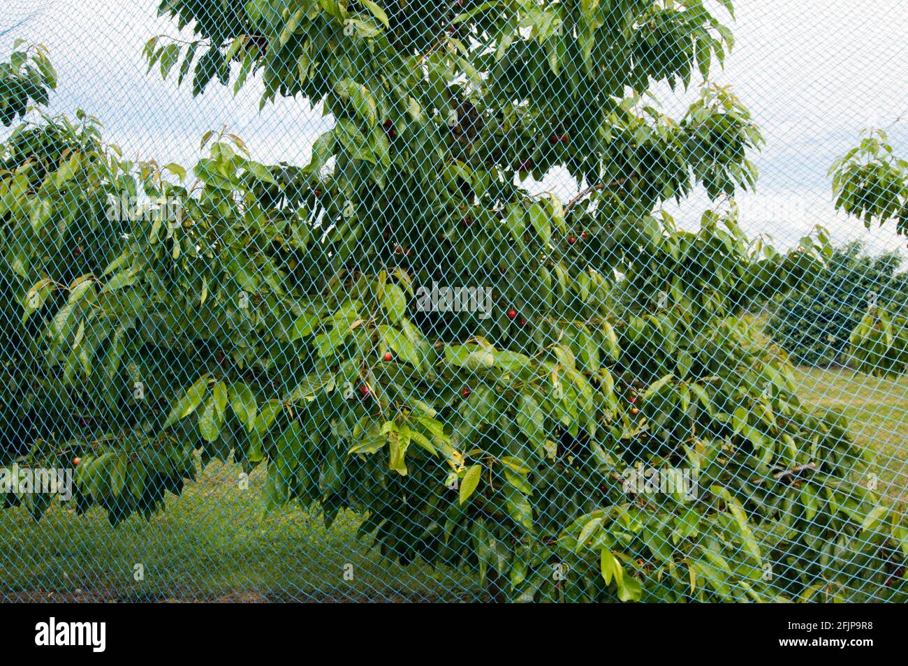 Protection birds area hi-res stock photography and images - Alamy