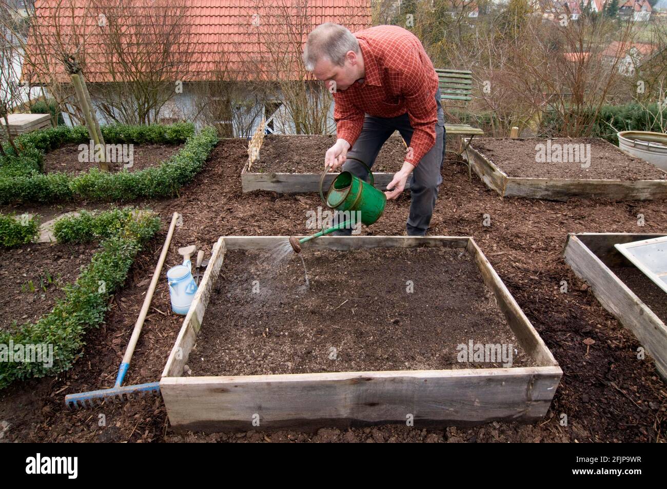Man watering manure bed, sowing, manure bed, watering, watering can ...