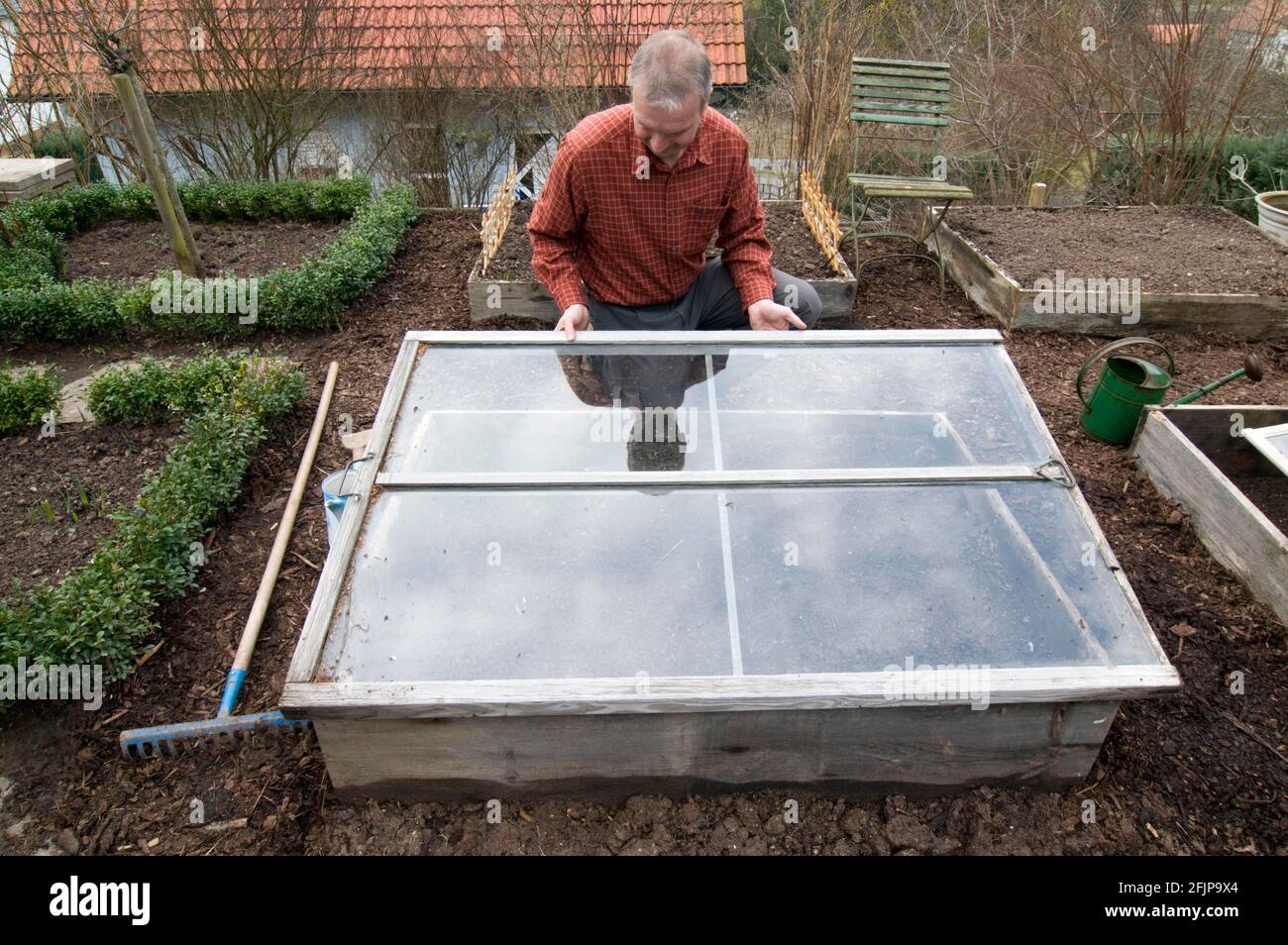 Man covers cold frame with old window, manure bed Stock Photo - Alamy