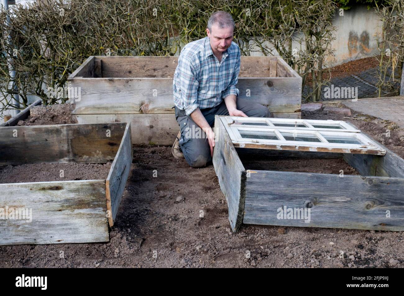 Creation of cold frame Stock Photo - Alamy