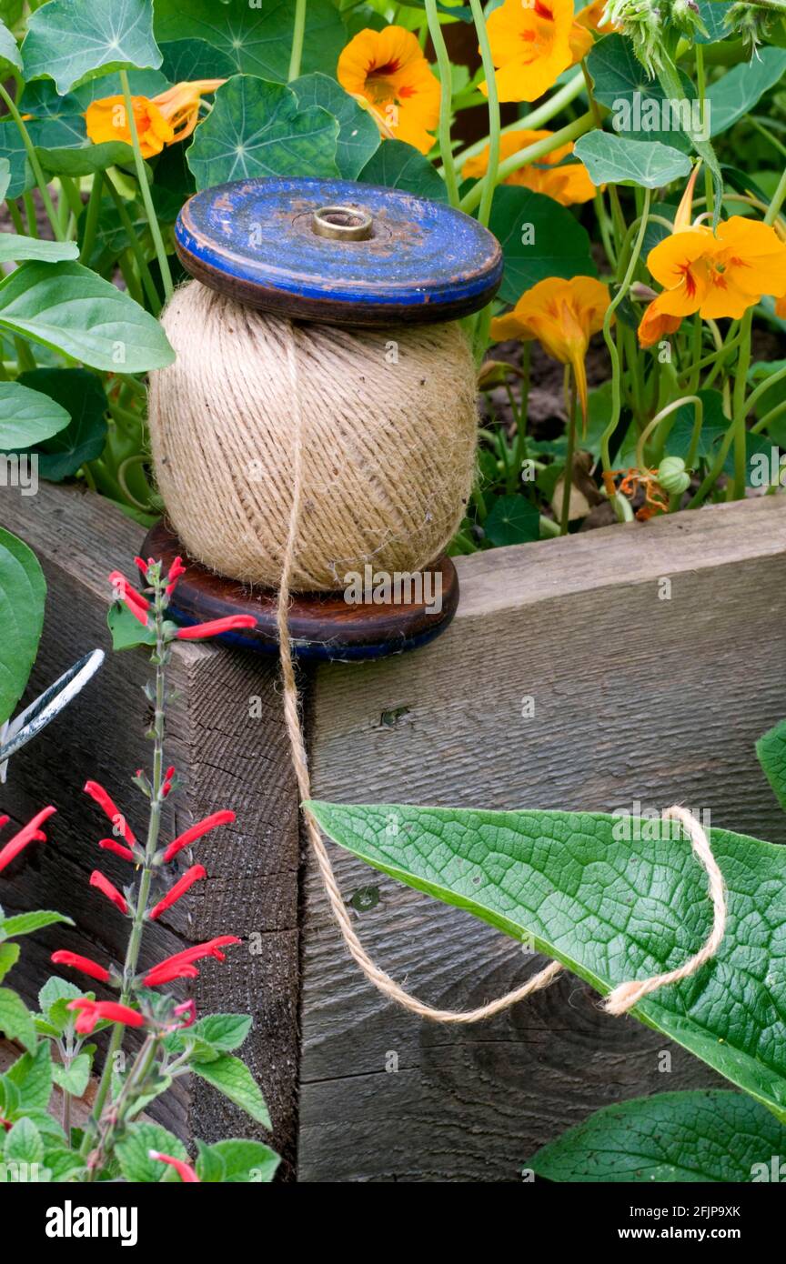 Herb garden, planting cord Stock Photo - Alamy