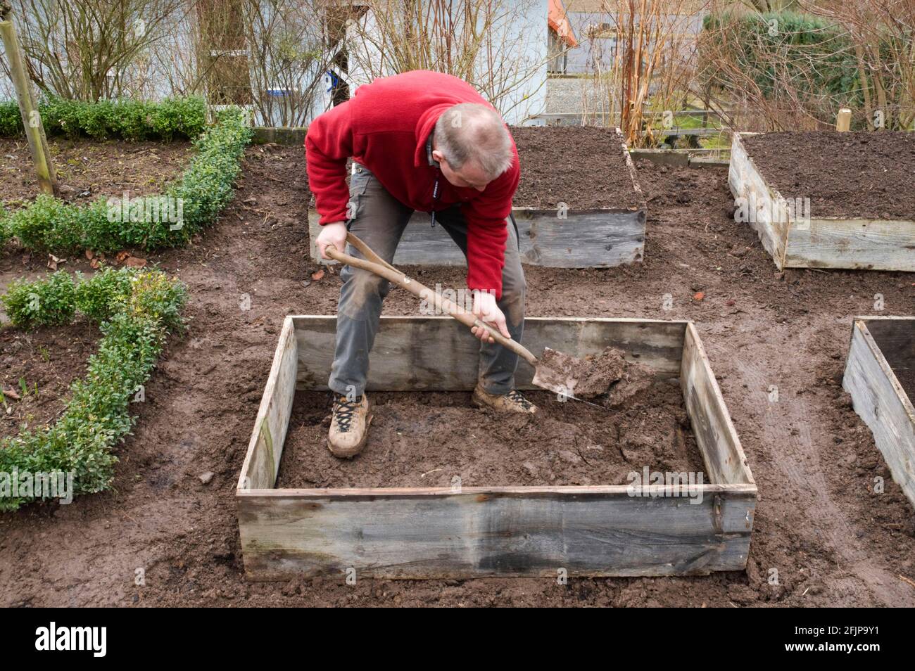 Cold frame, manure bed, soil is filled in Stock Photo - Alamy