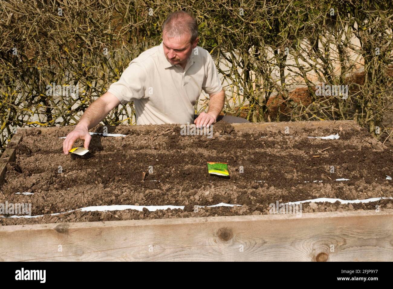 Man at sowing in raised bed, mound bed, sowing, seeding Stock Photo - Alamy