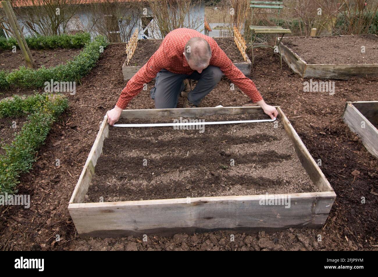Man laying seed tape, sowing, manure bed Stock Photo - Alamy