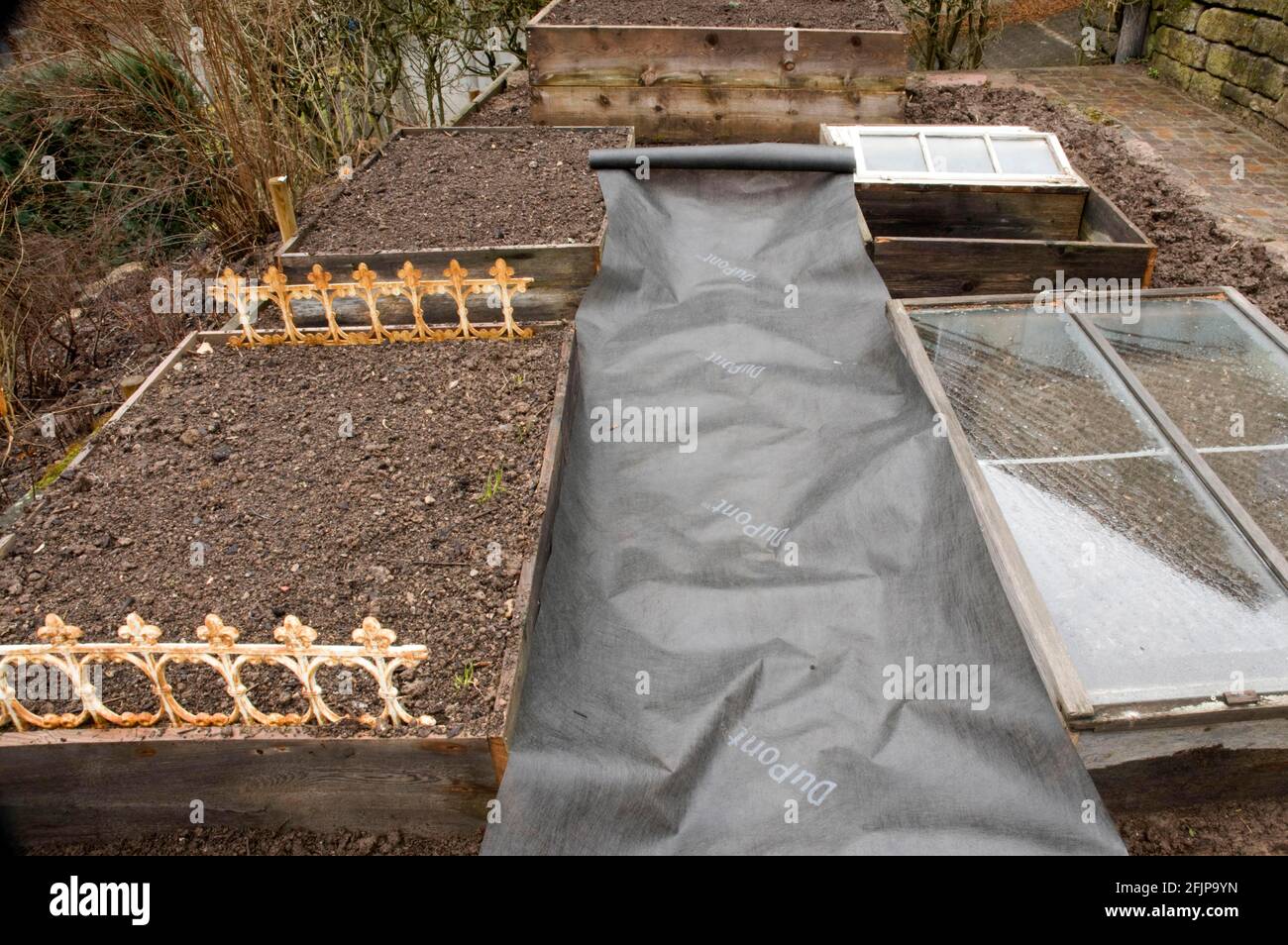 Vegetable garden, weed fleece Stock Photo - Alamy