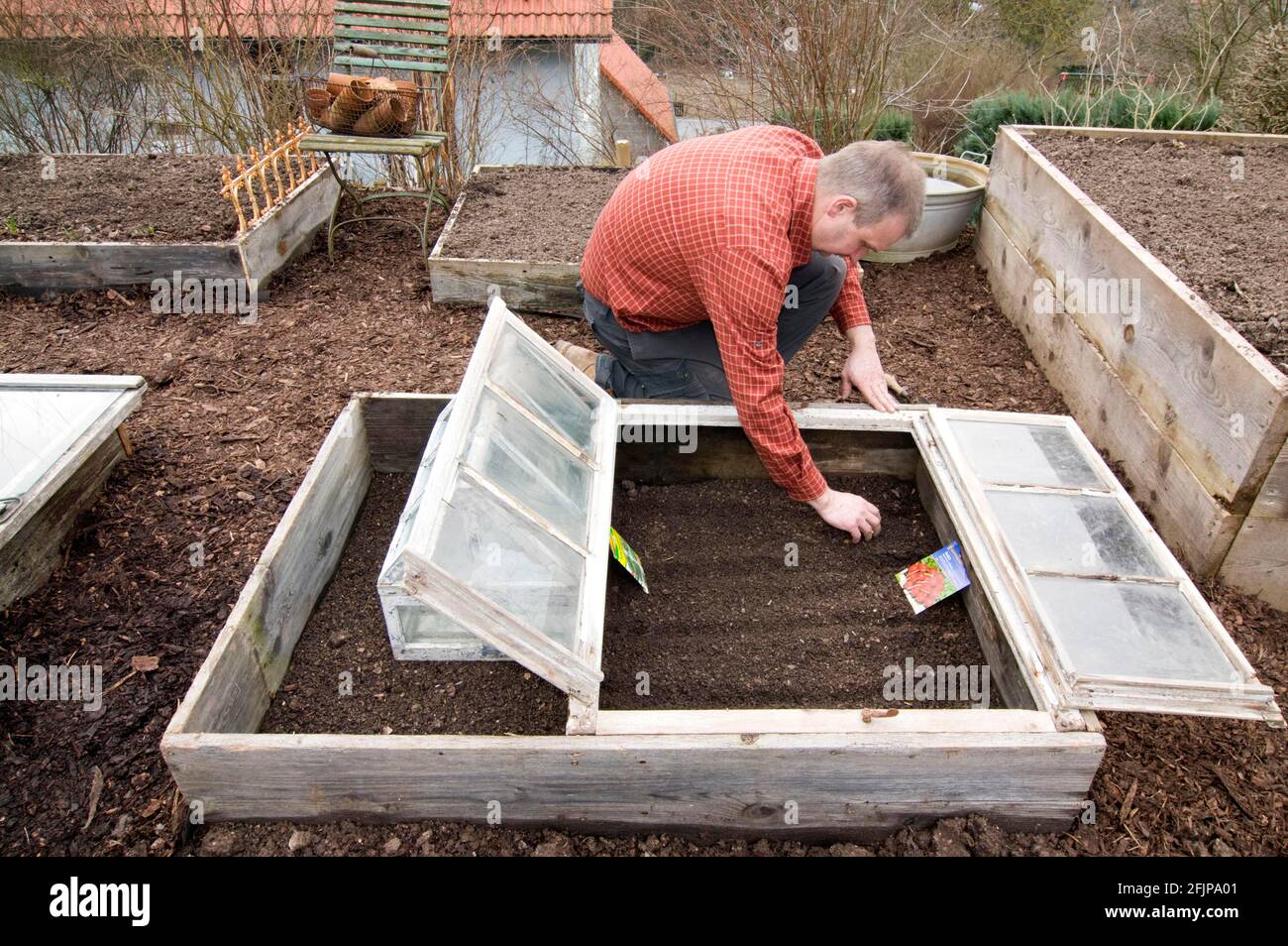 Man at sowing in cold frame, sowing, saeet Stock Photo - Alamy