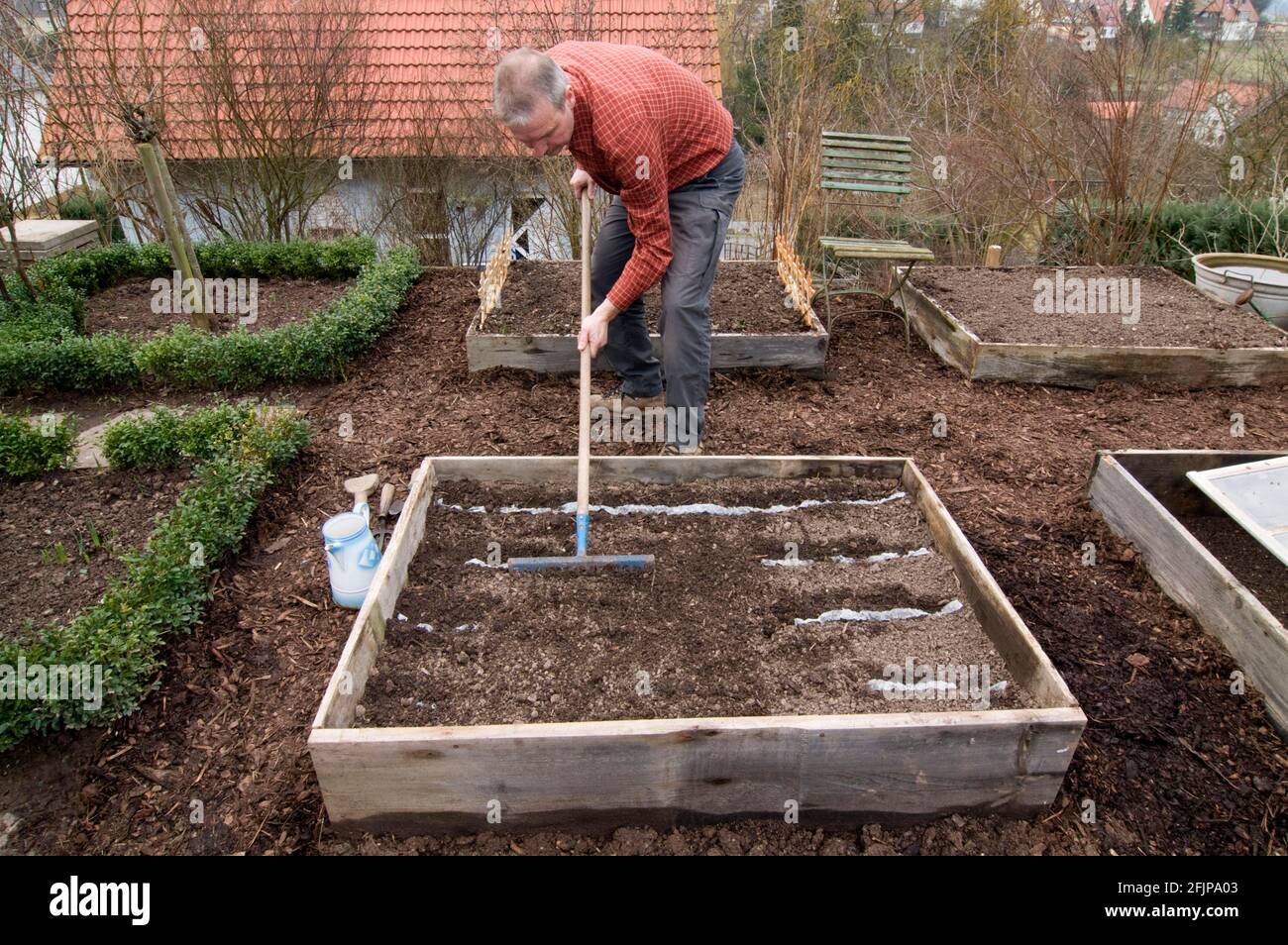 Man relocates seed tape, rake, sowing, manure bed, watering, rake Stock ...