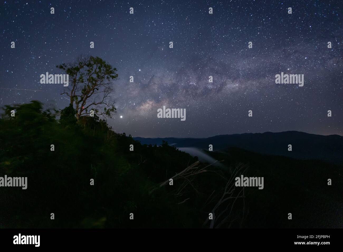 Nature landscape view of Dead tree with universe space of milky way ...