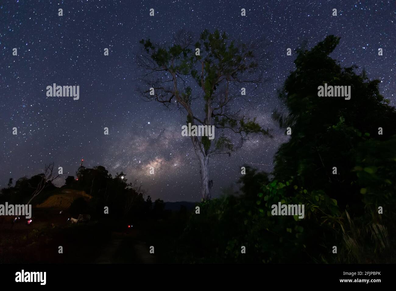 Nature landscape view of Dead tree with universe space of milky way ...