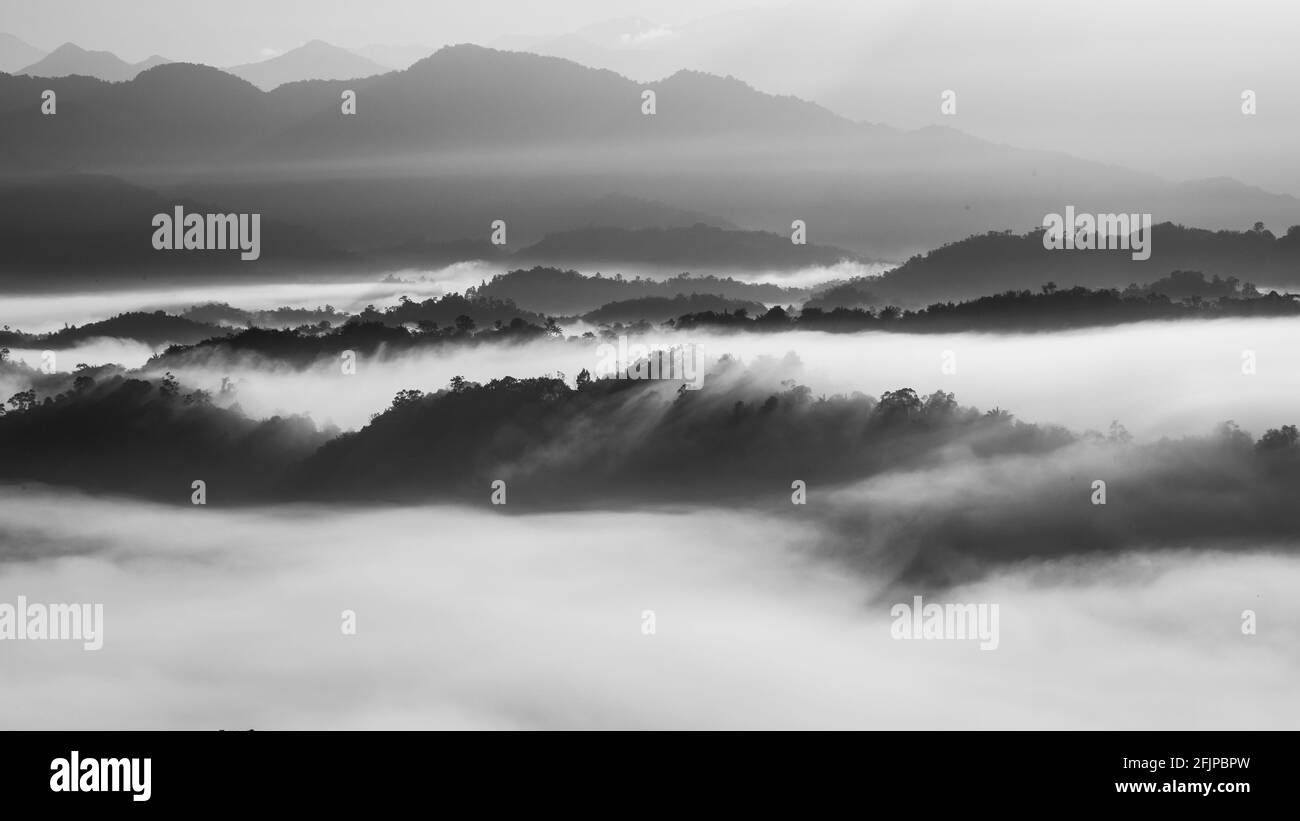 Nature landscape view of Sunrise with nature misty foggy editing in ...