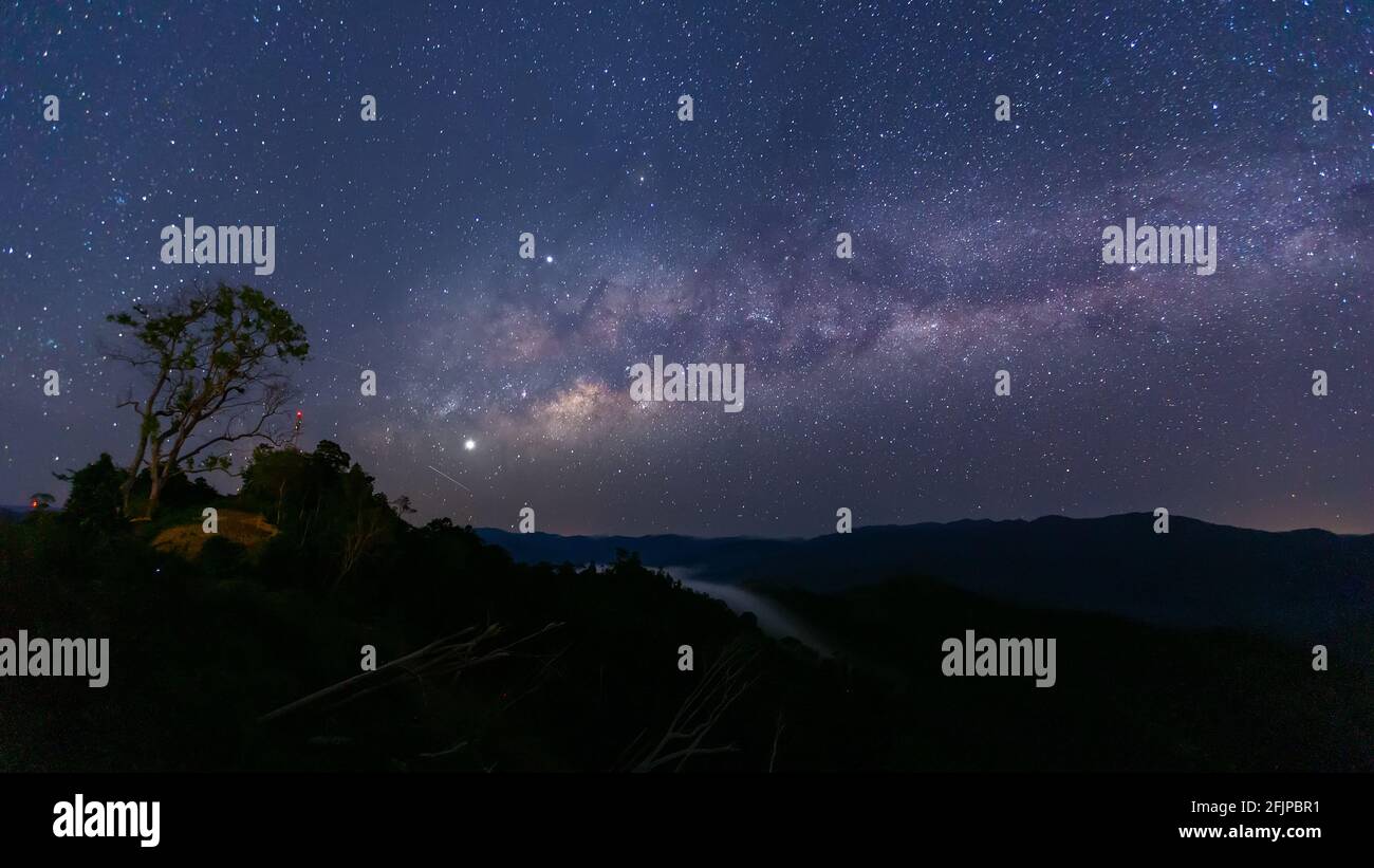 Nature landscape view of Dead tree with universe space of milky way ...