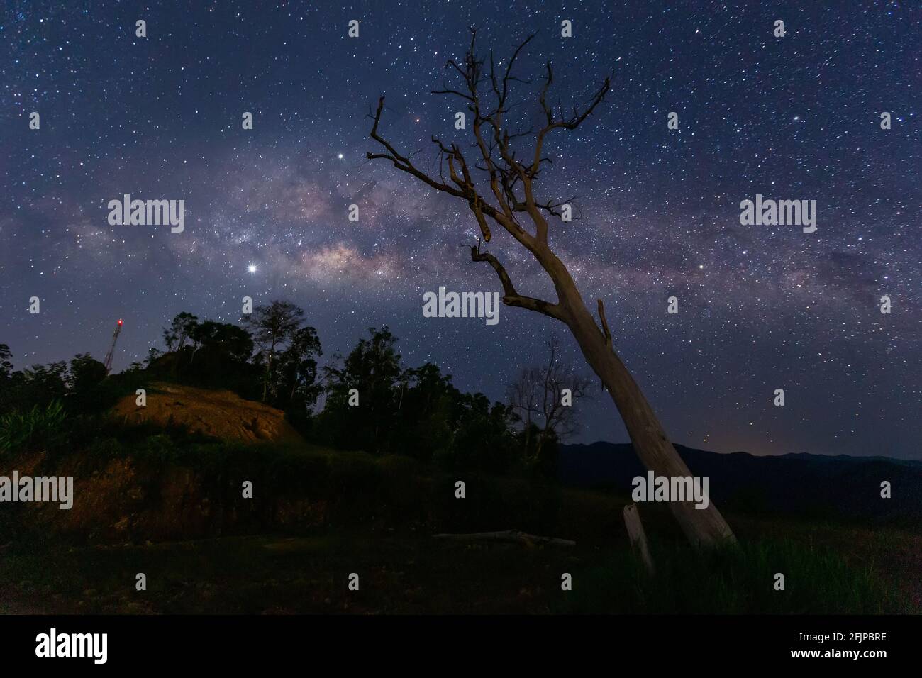 Nature landscape view of Dead tree with universe space of milky way ...