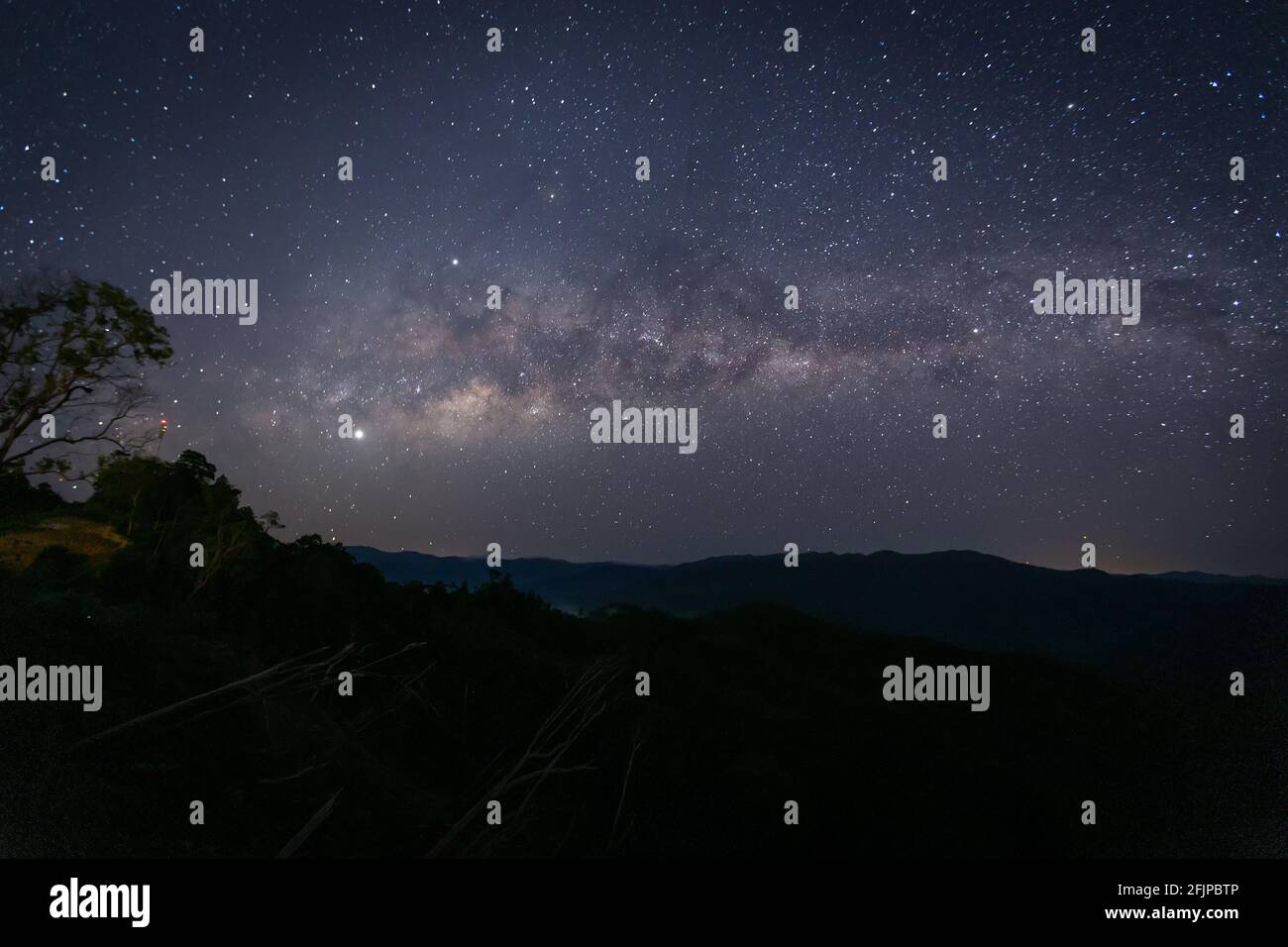 Nature landscape view of Dead tree with universe space of milky way ...