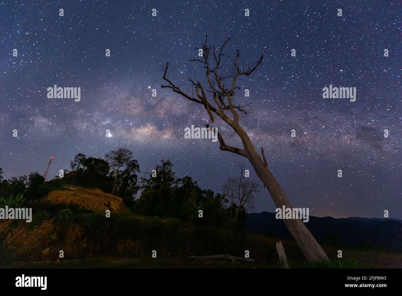 Nature landscape view of Dead tree with universe space of milky way ...