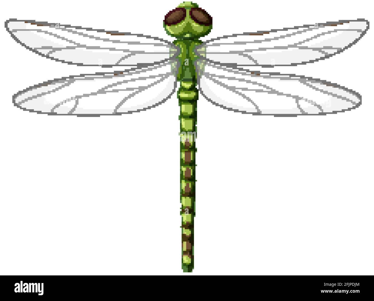 A green dragonfly on white background illustration Stock Vector Image ...