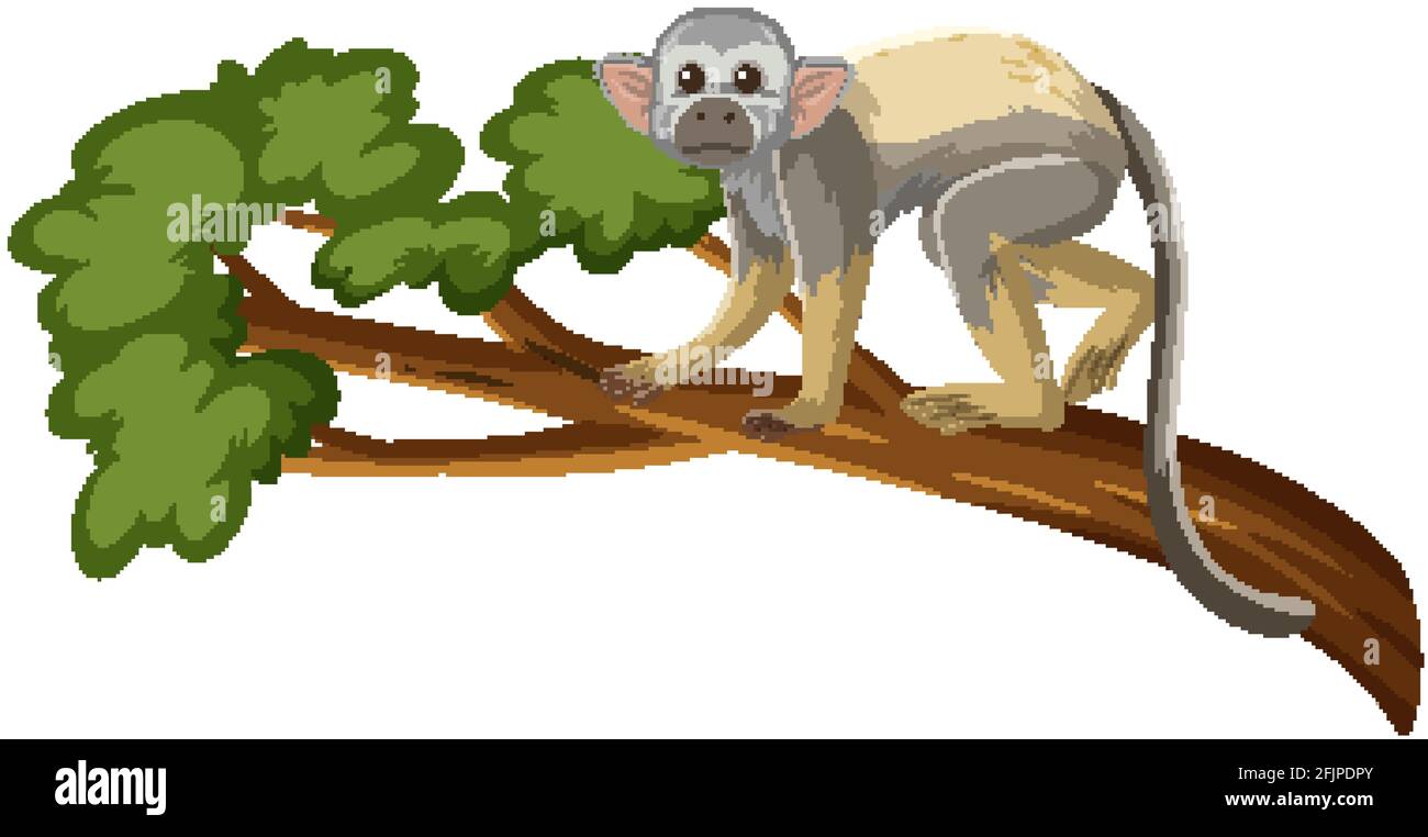 Squirrel monkey cartoon character on a branch isolated on white ...