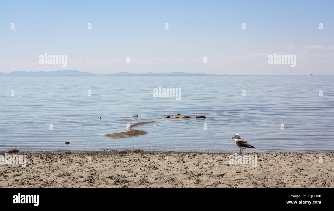 The Great Salt Lake landscape Stock Photo - Alamy