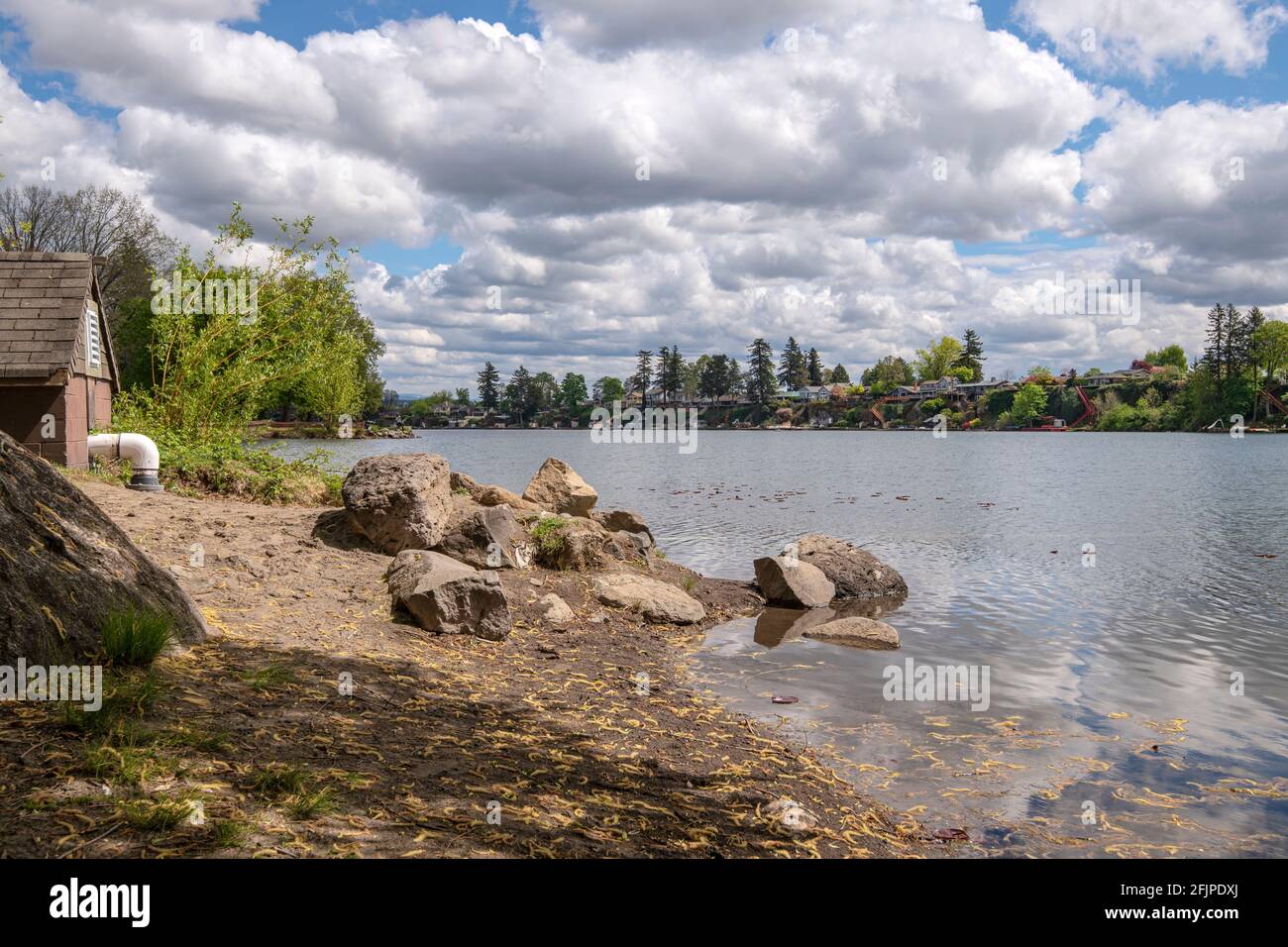 Spring bloom in a park colorful landscape Oregon Stock Photo - Alamy