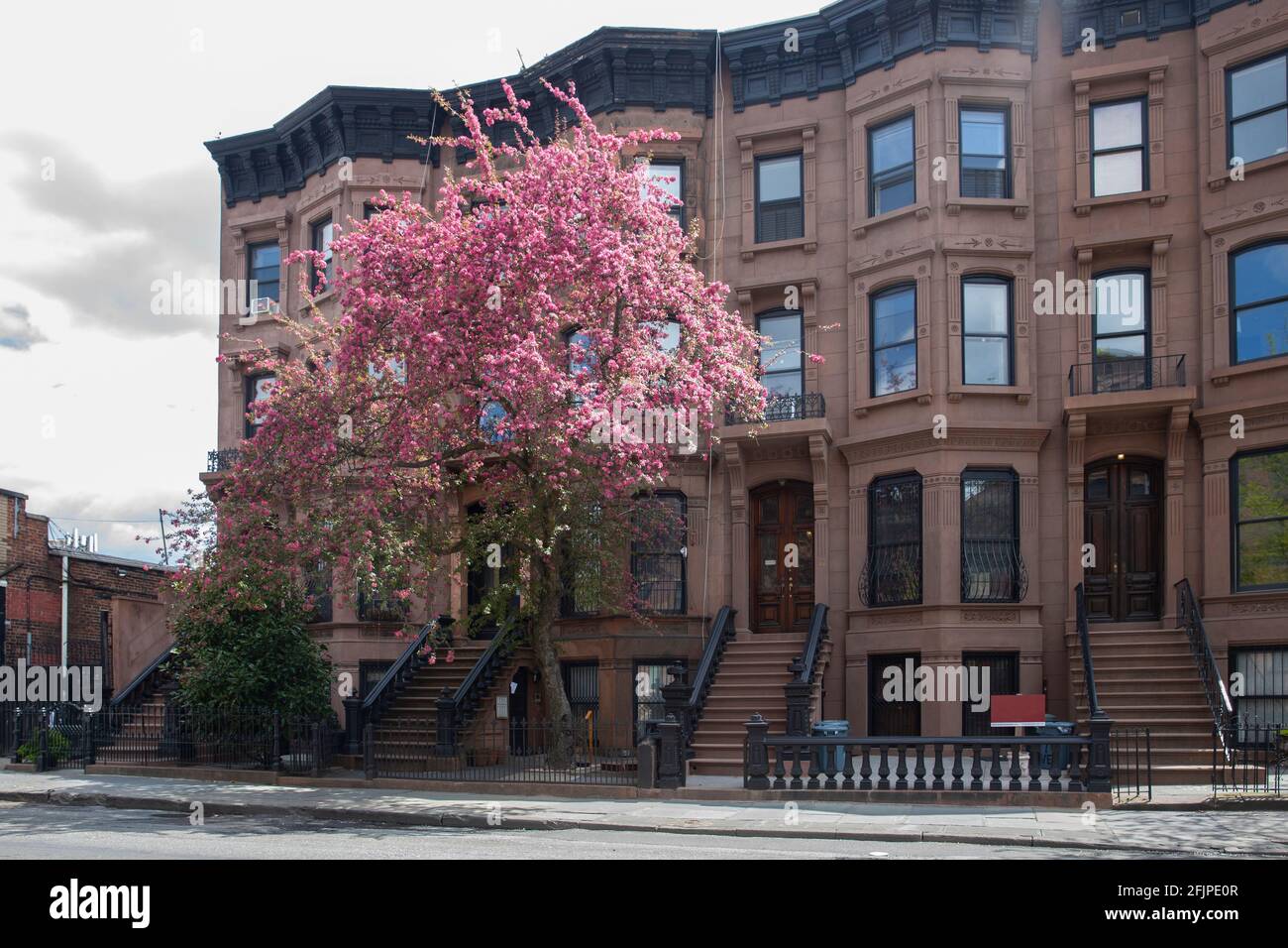 A row of brownstone buildings in Park Slope, Brooklyn. Spring with ...