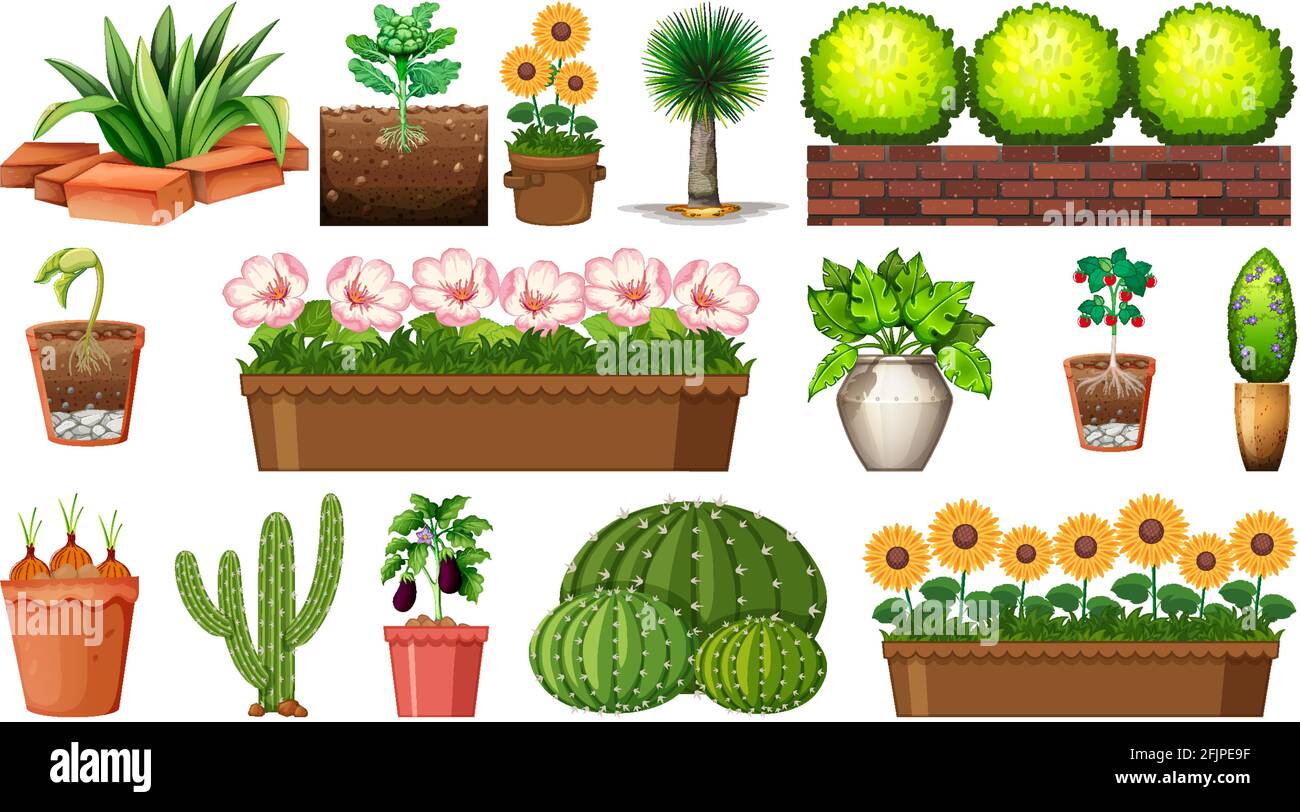 Set of different plants in pots isolated on white background ...