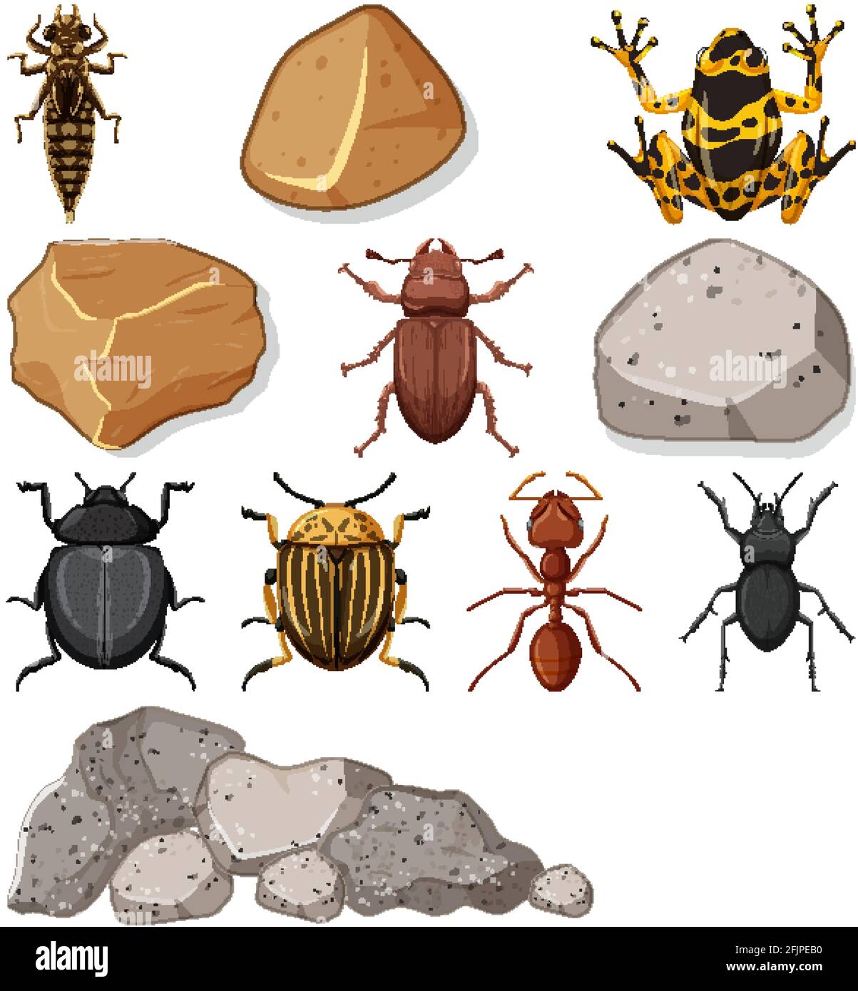 Different types of insect with nature elements illustration Stock ...