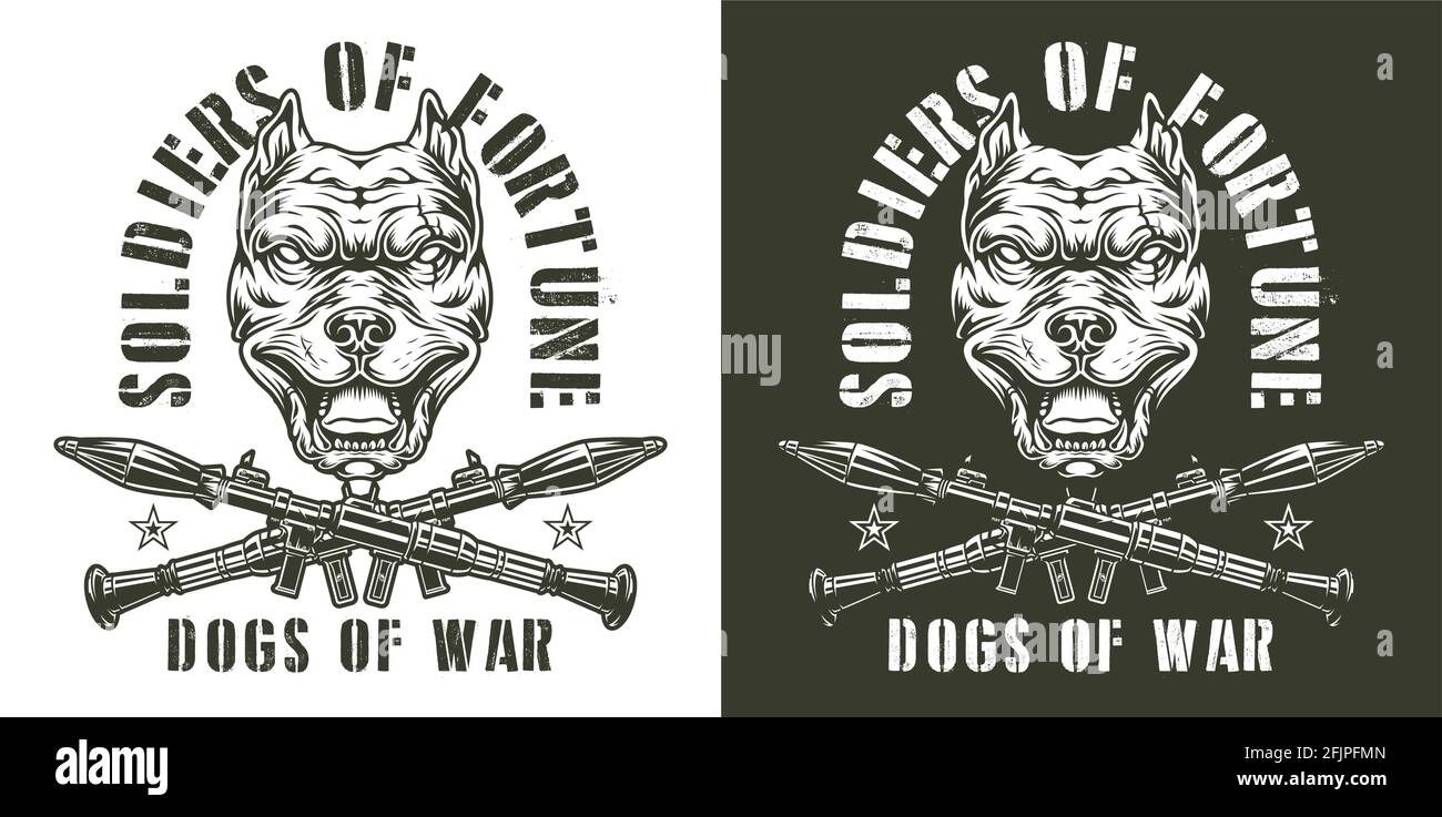 Missile Launchers Stock Vector Images - Alamy