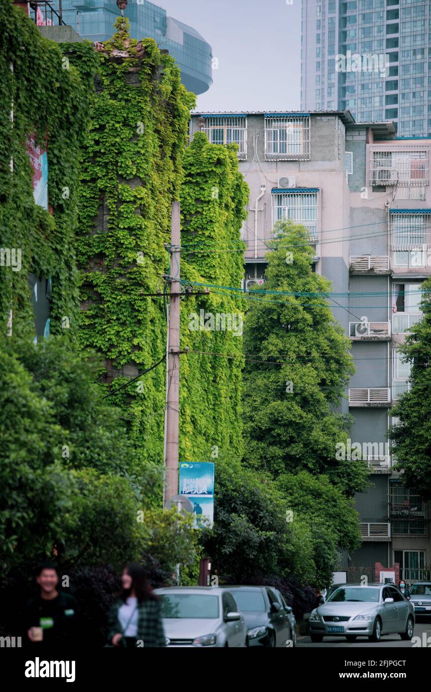 CHENGDU, CHINA - APRIL 20, 2021 - Buildings are surrounded by green ...