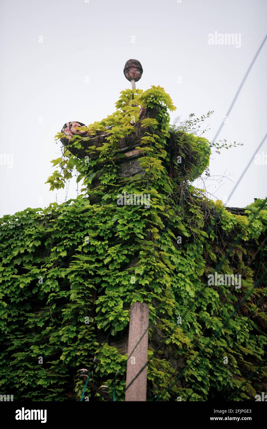 CHENGDU, CHINA - APRIL 20, 2021 - Buildings are surrounded by green ...