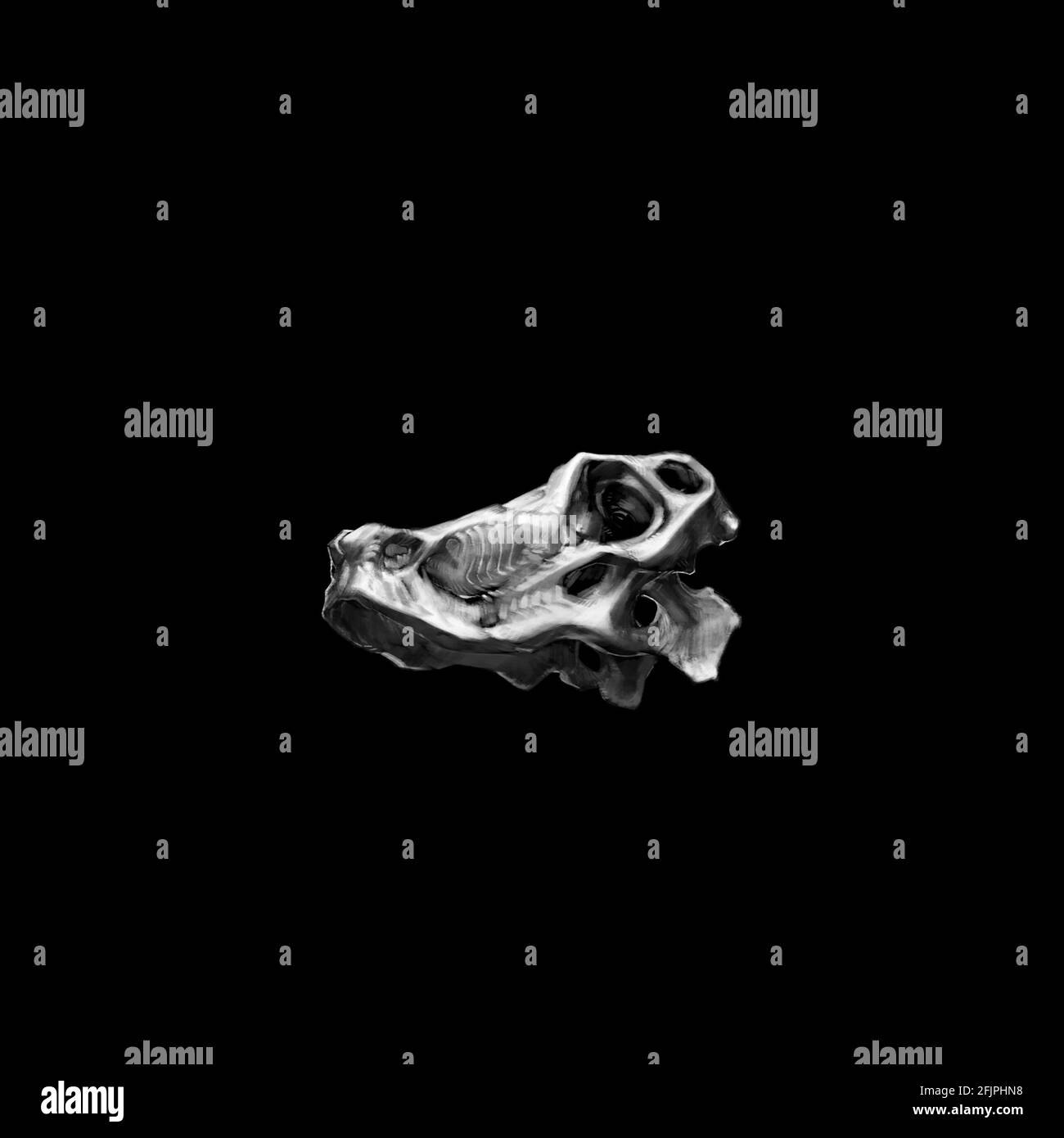 Dragon bone hi-res stock photography and images - Alamy