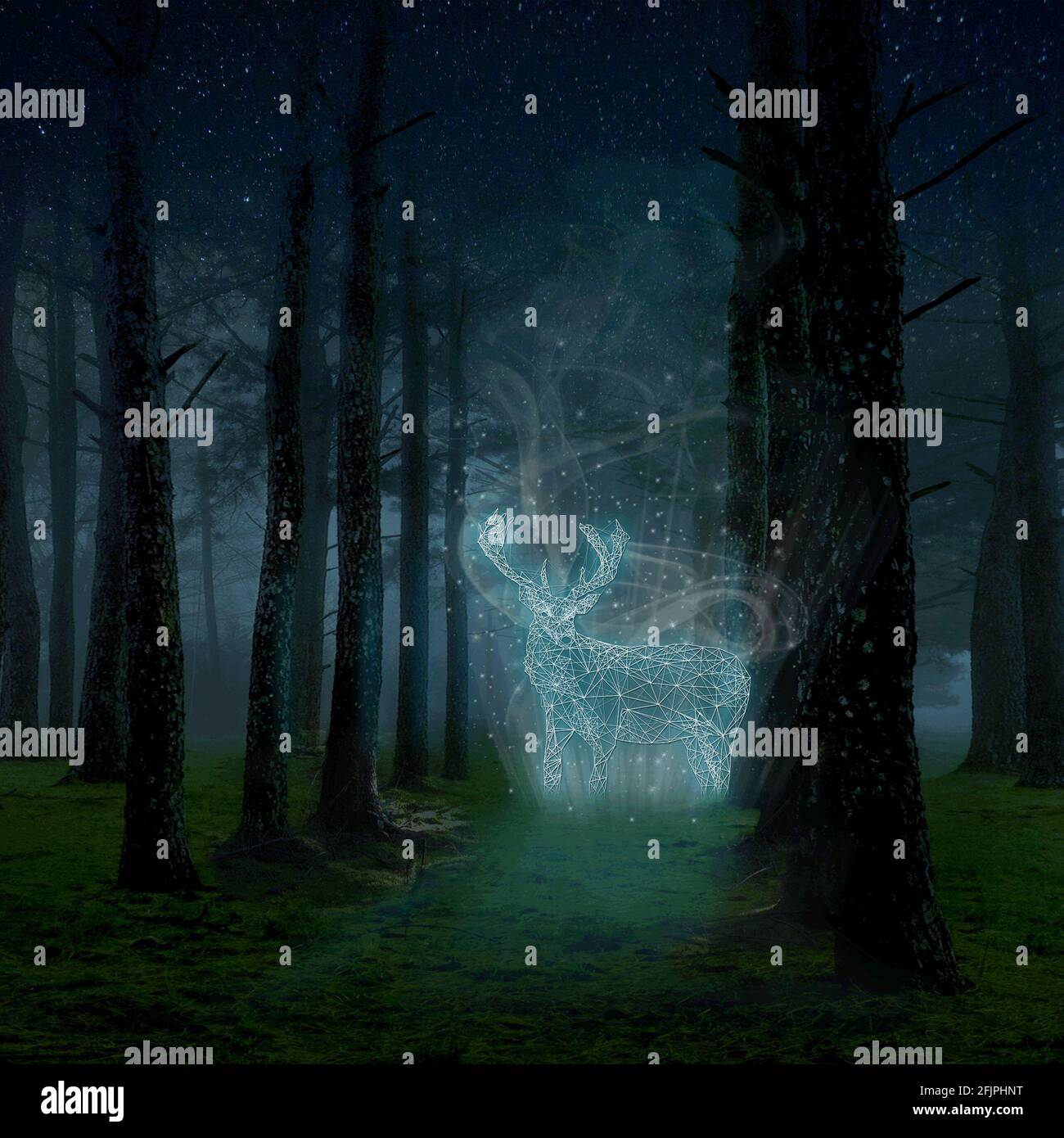 Forest of illusion Stock Photo - Alamy
