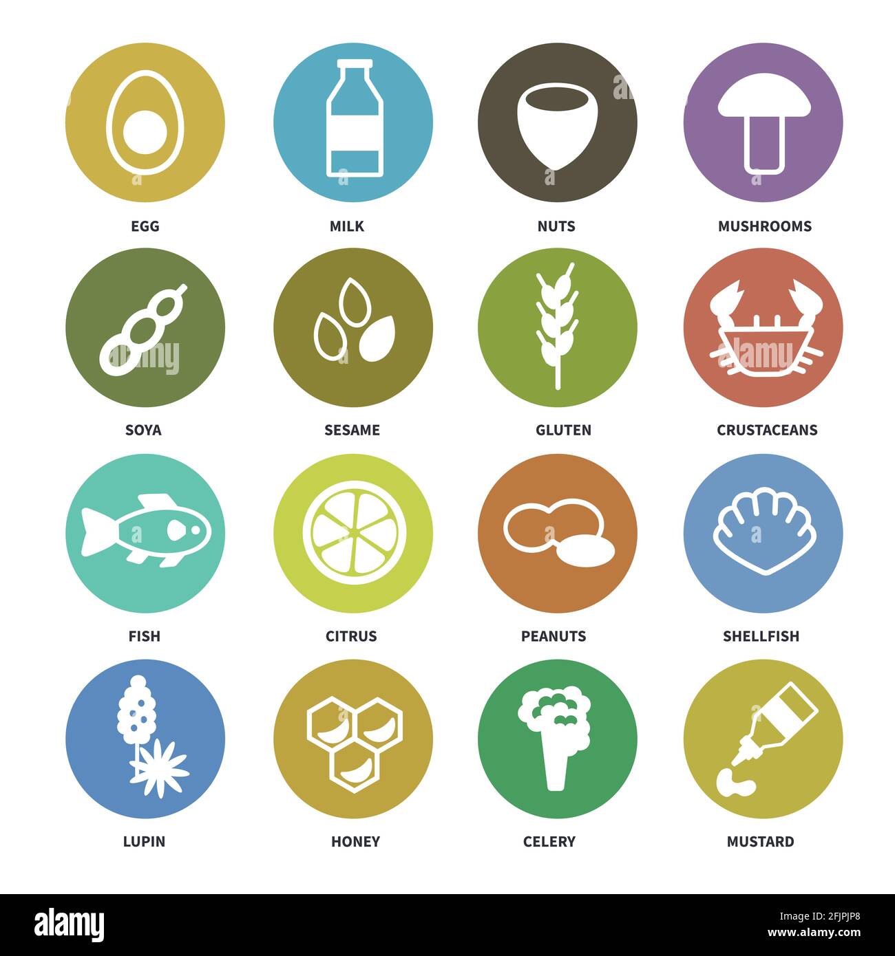 Allergens in Stock Vector Images - Alamy