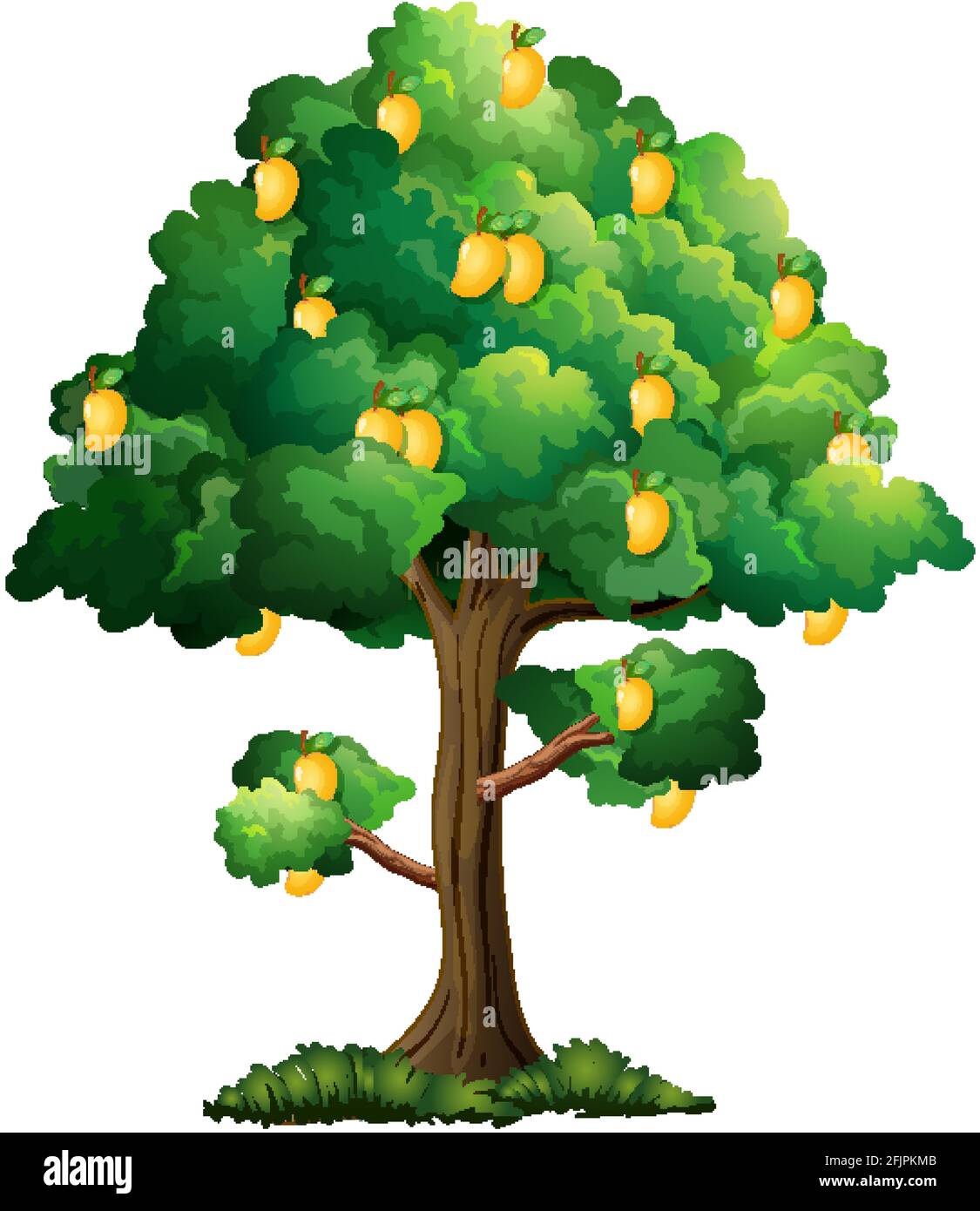 Yellow mango tree isolated on white background illustration Stock ...
