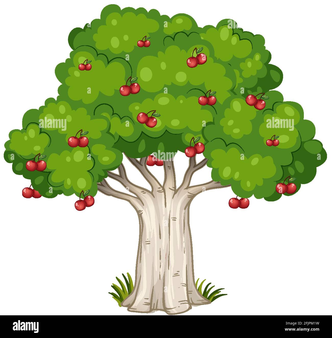 Cherry tree isolated on white background illustration Stock Vector ...