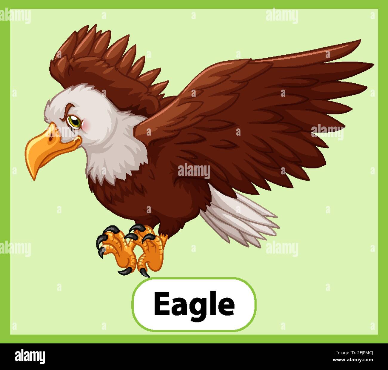 Educational English word card of eagle illustration Stock Vector Image ...